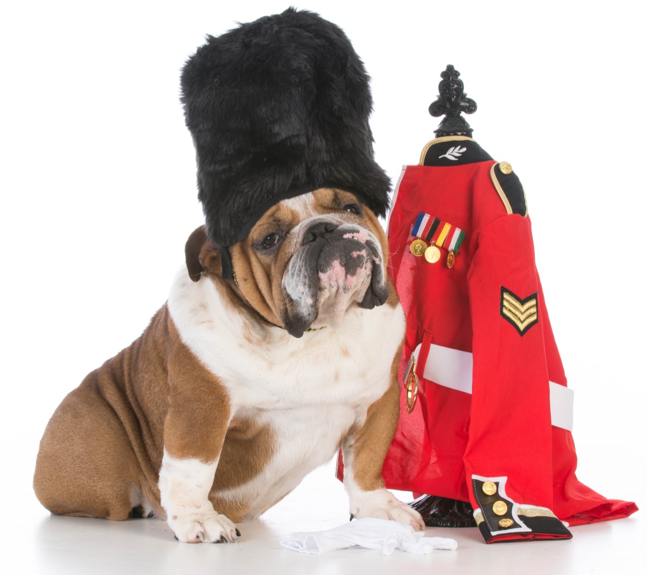 Porkies, Bugger All, & Galdem: British Slang - Oculoid