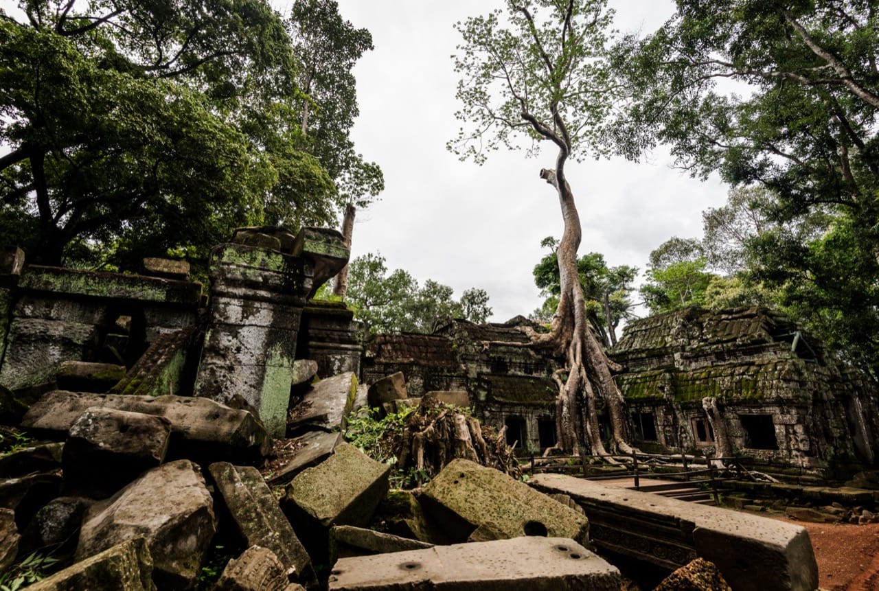 Test Your Indiana Jones Knowledge - Oculoid